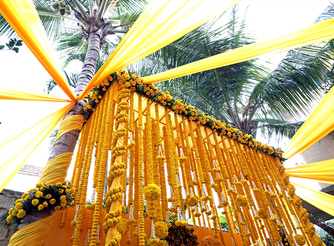 Yellow theme